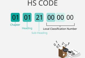 What is an HS code? - Partida Logistic